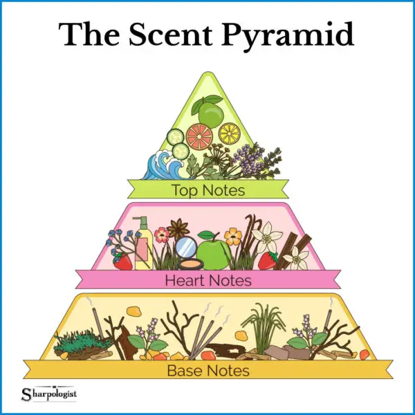 How To Choose A Cologne - Sharpologist