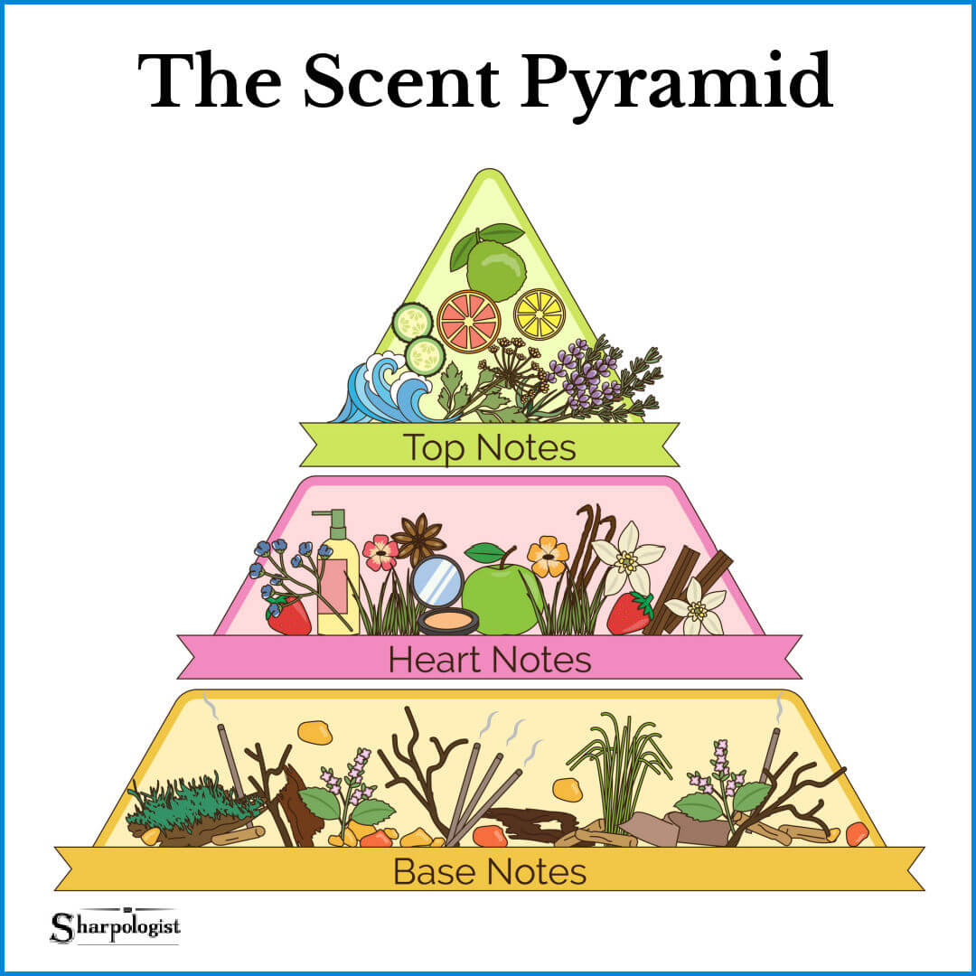 How To Choose A Cologne - Sharpologist