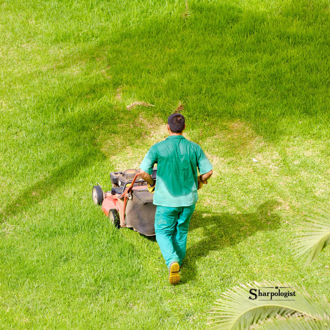 What Are Springtime Scents In Shaving Products - Sharpologist