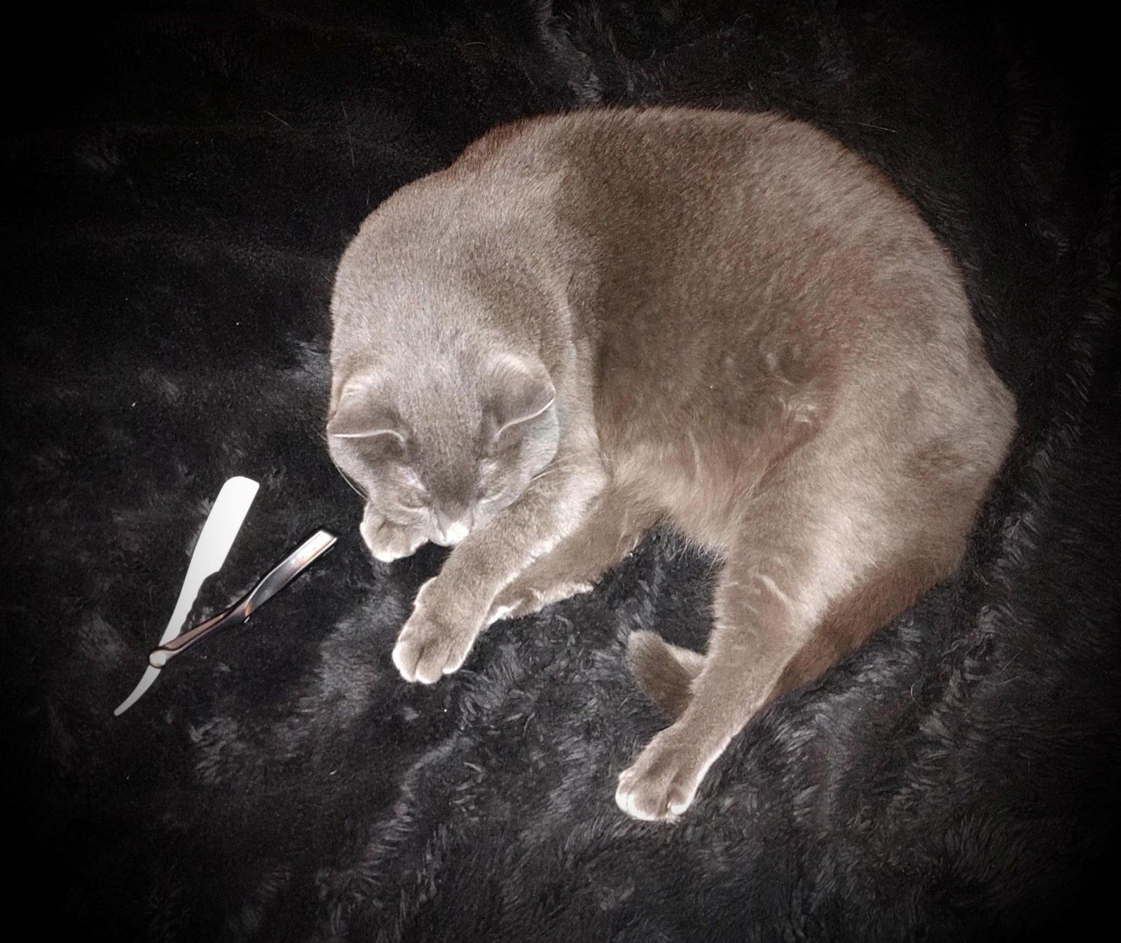 The Feather SS Razor: A Bridge Between Safety And Shavette Razors ...